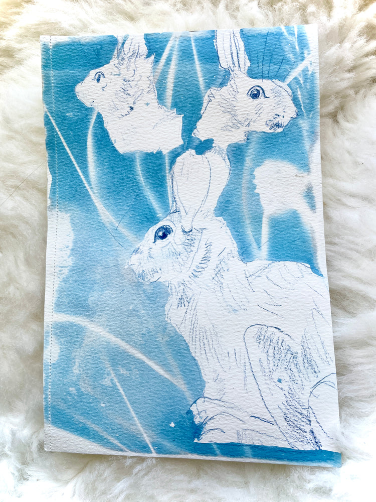 Commissions – Pine Marten Press